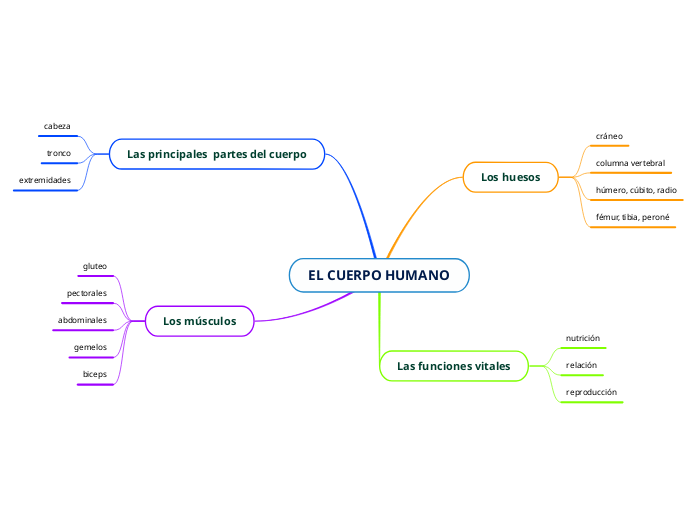 EL CUERPO HUMANO - Mind Map